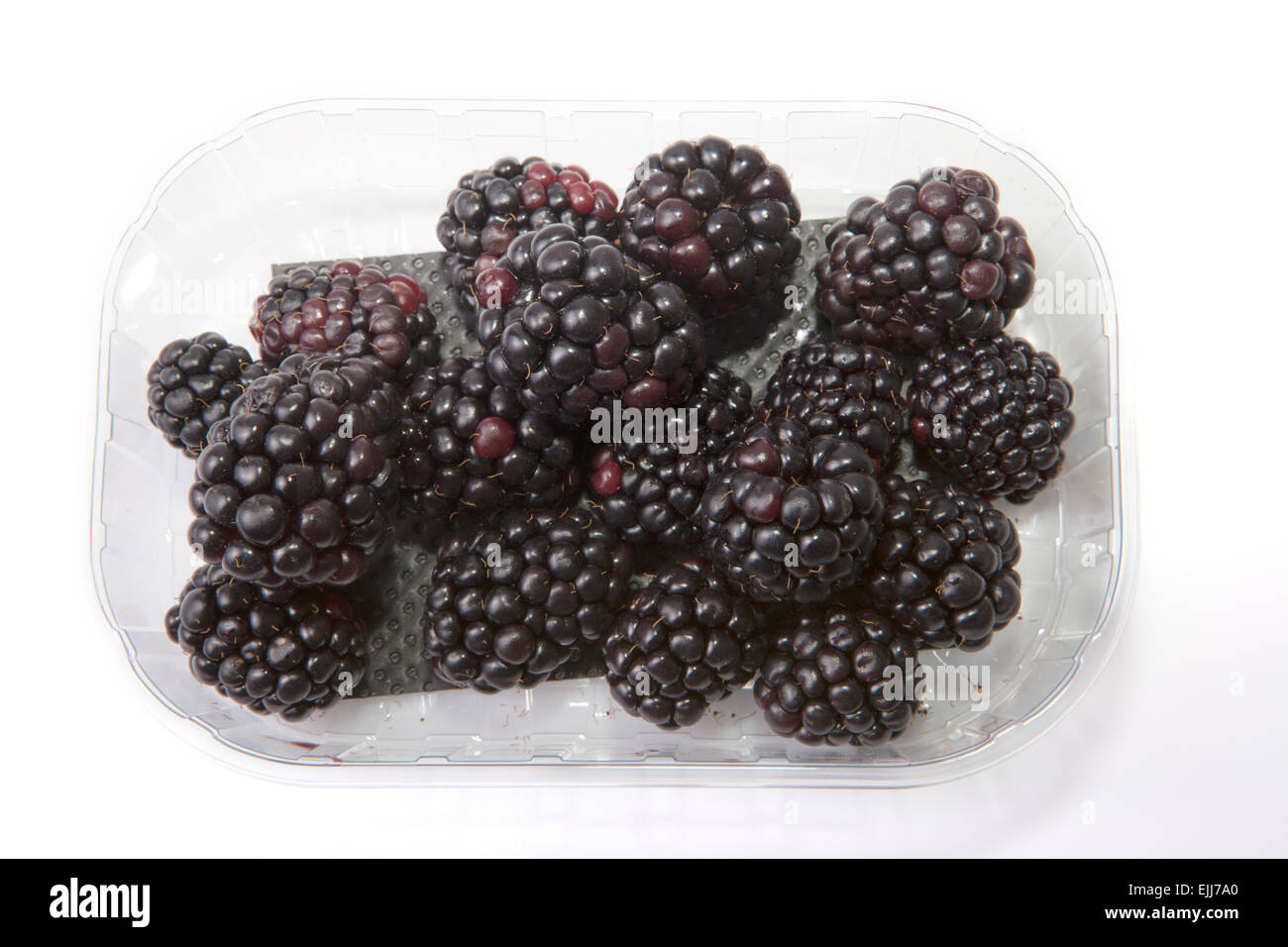 Container of blackberries hi-res stock photography and images - Alamy