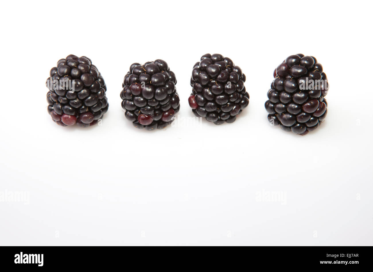Fresh ripe blackberries in line. Isolated over on white background ...