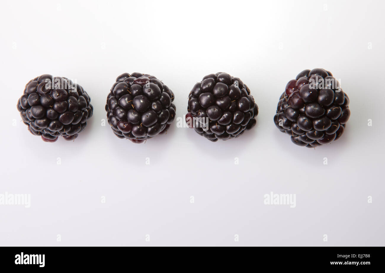 Fresh ripe blackberries in line. Isolated over on white background ...