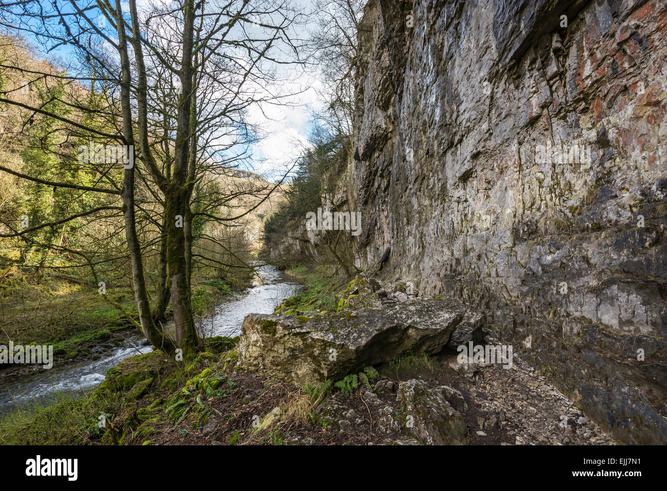 Dramatic limestone cliff beside the river Wye in Chee Dale, Derbyshire ...
