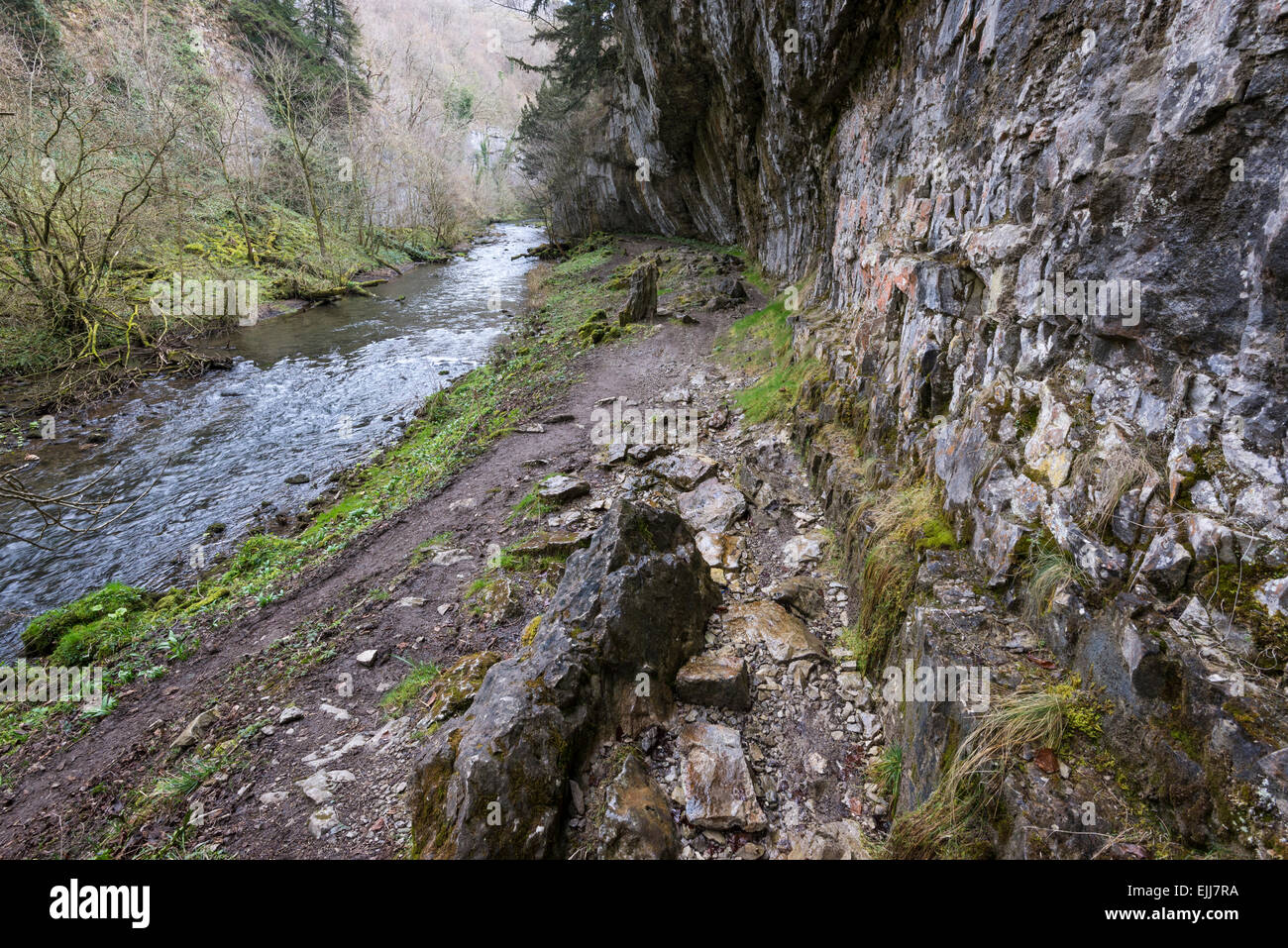 Dramatic limestone cliff overhanging the river Wye in Chee Dale ...