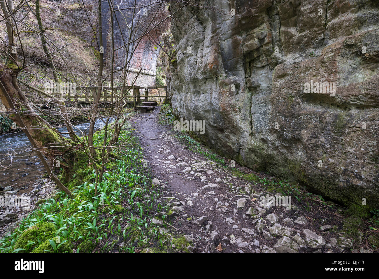 Path to a wooden footbridge in Chee Dale, Derbyshire. Old railway ...