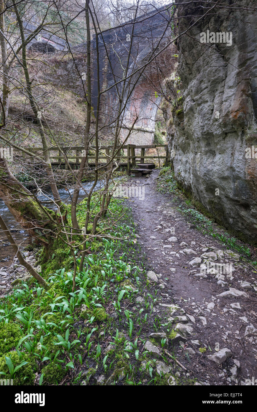 Path to a wooden footbridge in Chee Dale, Derbyshire. Old railway ...