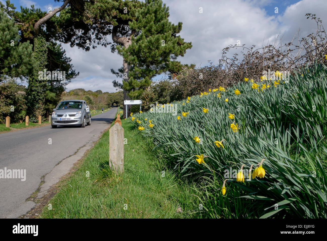 Car Driving Along Straight Road High Resolution Stock Photography and ...