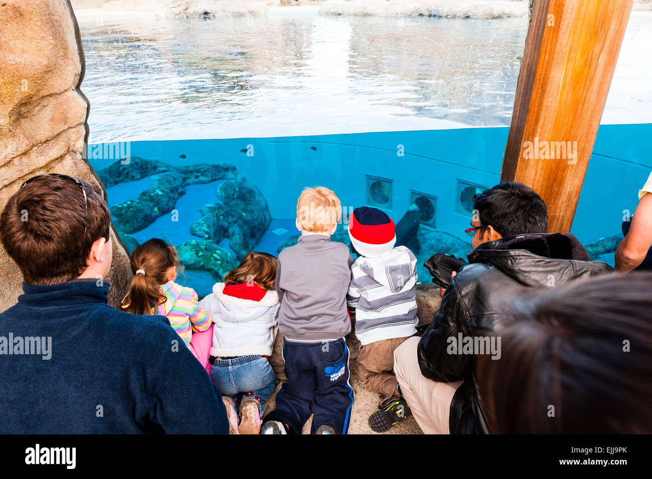 Taronga zoo group hi-res stock photography and images - Alamy