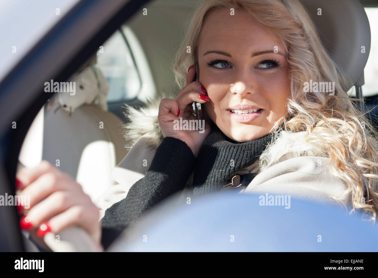 beautiful woman driving and phoning dangerous behavior Stock Photo - Alamy