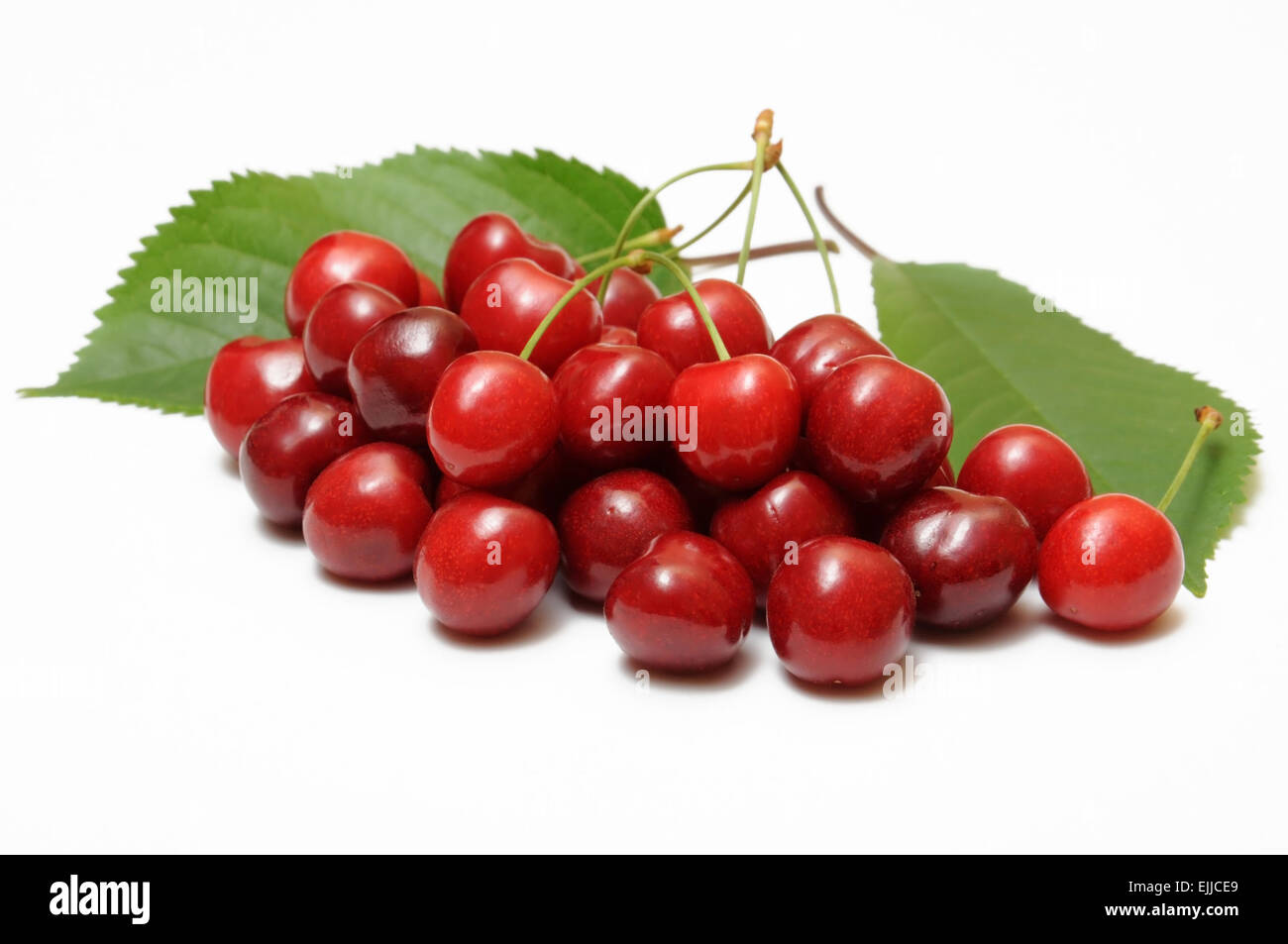 Freshly red cherry on a white background Stock Photo - Alamy
