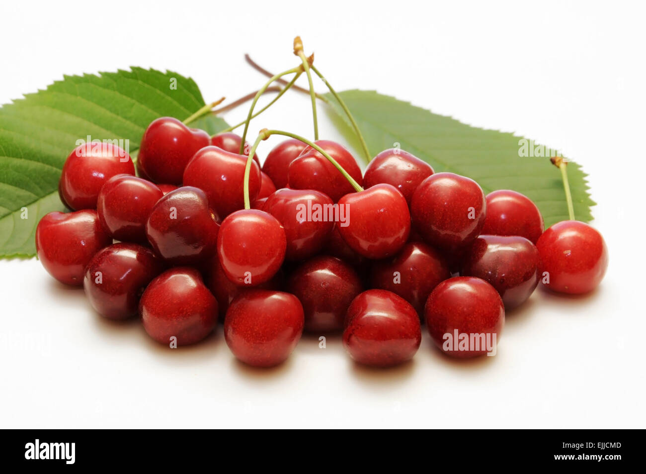 Red cherry leaves hi-res stock photography and images - Alamy