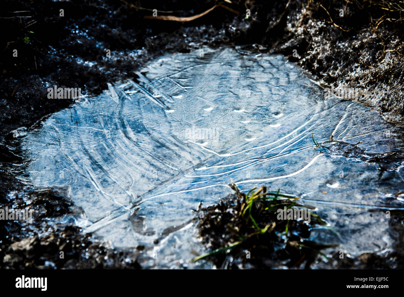 Ice patterns on the ground in winter Stock Photo - Alamy