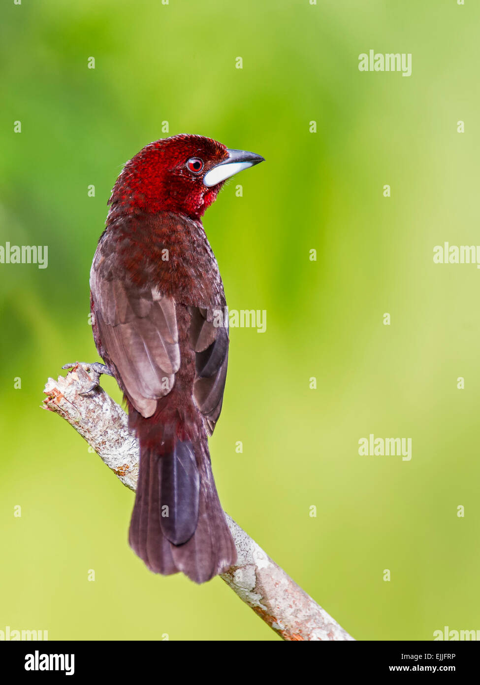 Pandama retreat hi-res stock photography and images - Alamy