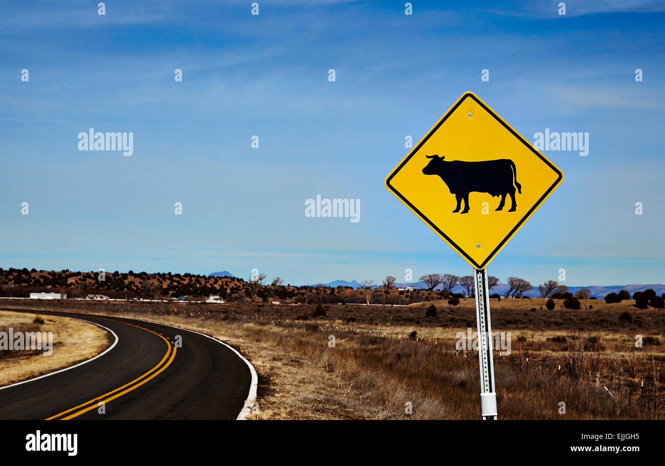 Cattle crossing road sign in rural America Stock Photo - Alamy