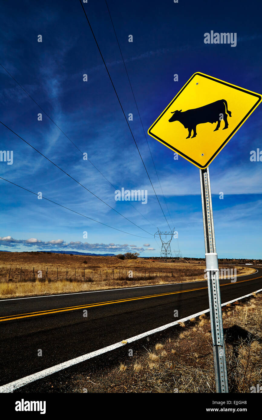 Cattle crossing country road hi-res stock photography and images - Alamy