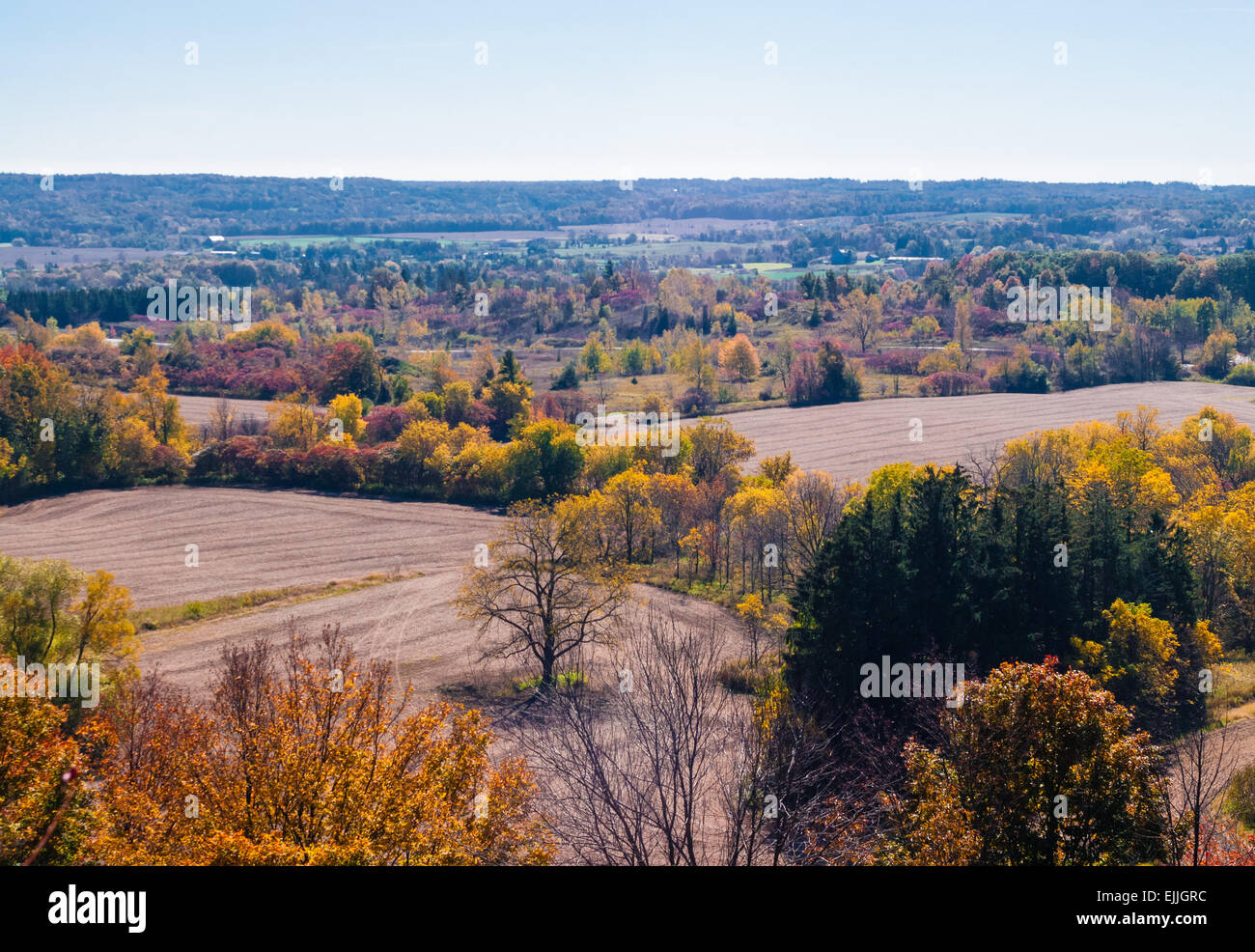 Turning colors hi-res stock photography and images - Alamy