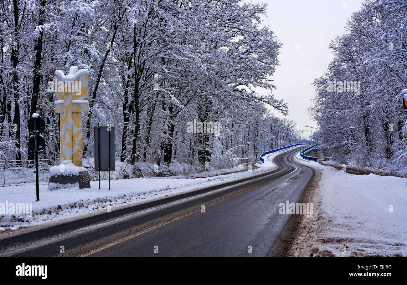 Winter road with trees full of snow Stock Photo - Alamy