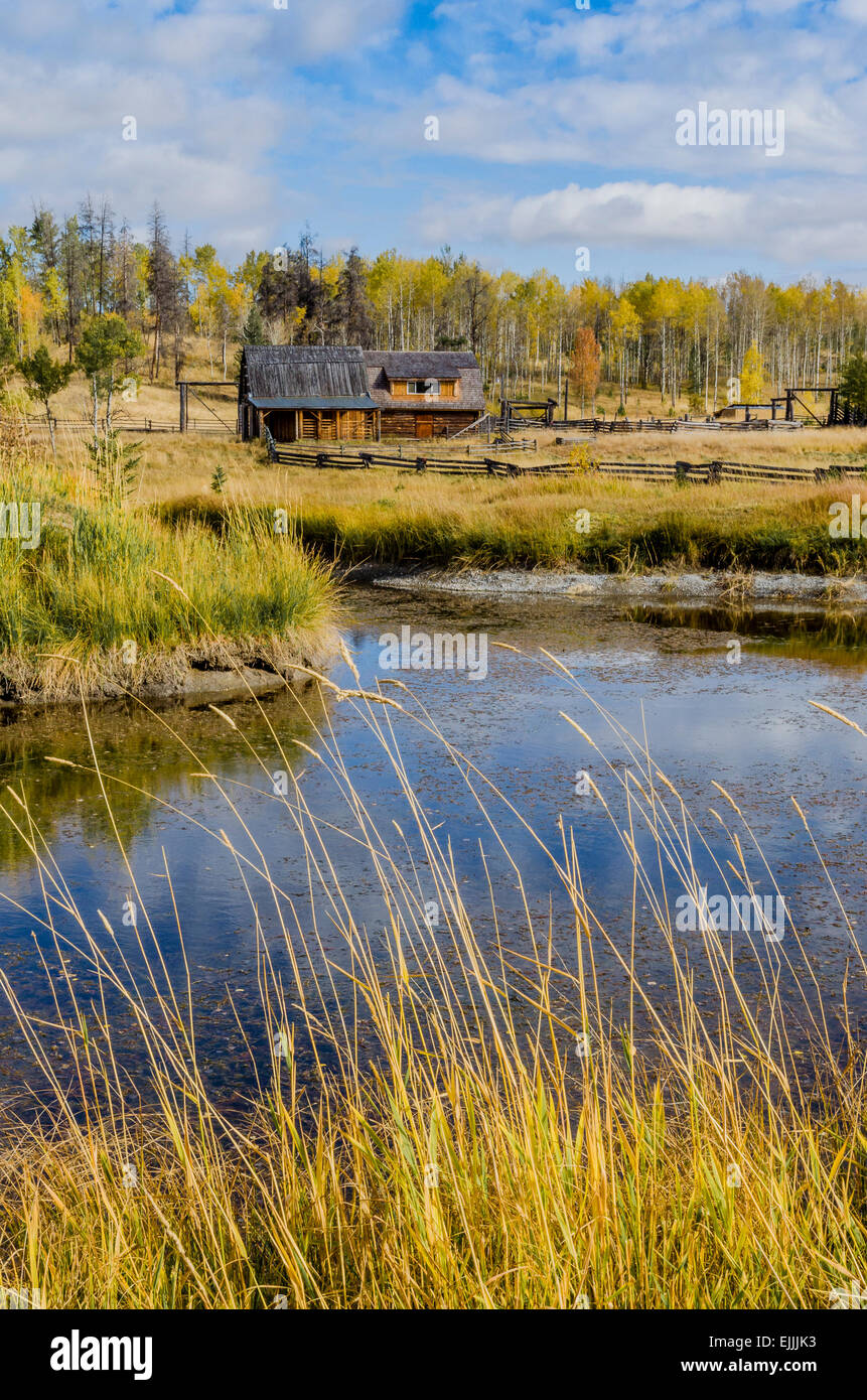 Cariboo hi-res stock photography and images - Alamy
