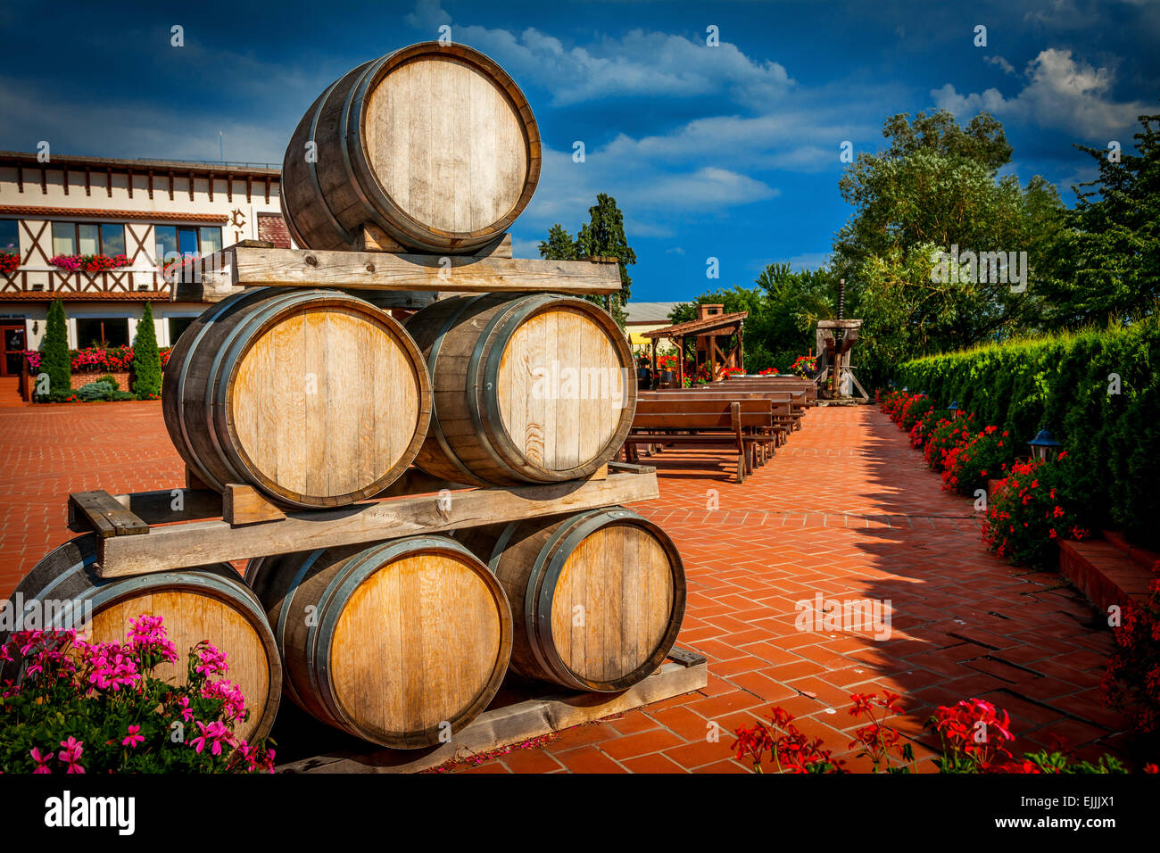 Romania vineyard hi-res stock photography and images - Alamy