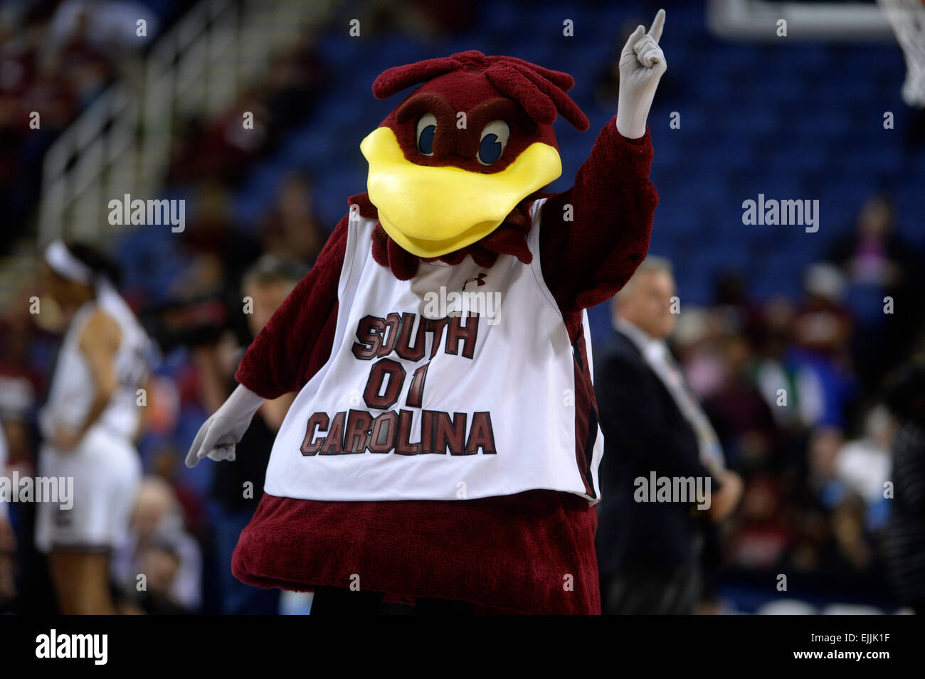 Mascot cocky hi-res stock photography and images - Alamy