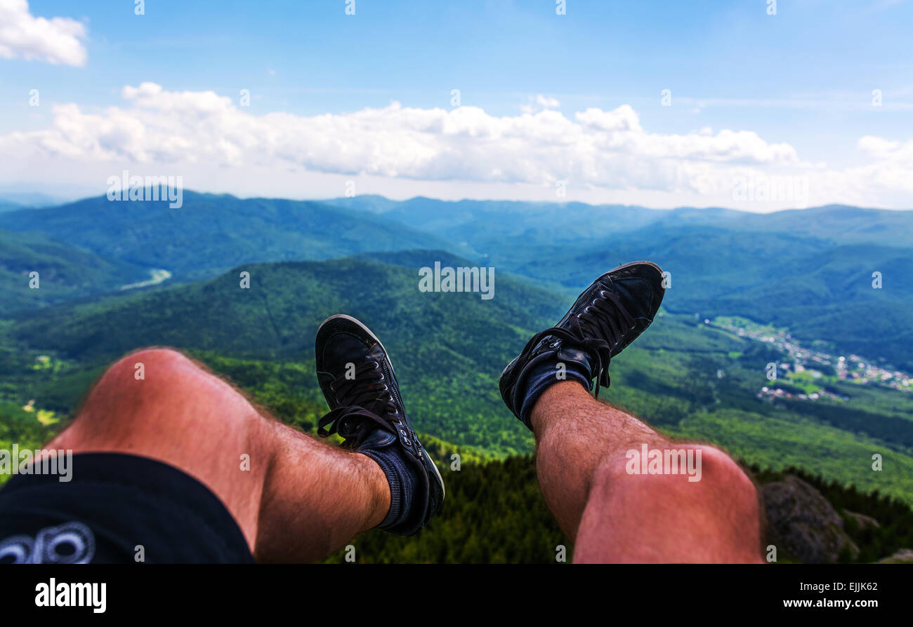 Fly legs not close up not horsefly hi-res stock photography and images ...