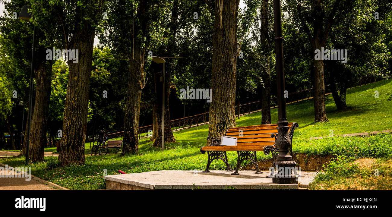 Bench in park with trees and green grass Stock Photo - Alamy