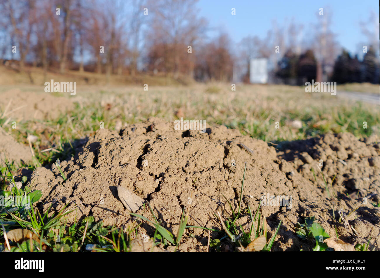 Molehill soil hi-res stock photography and images - Alamy