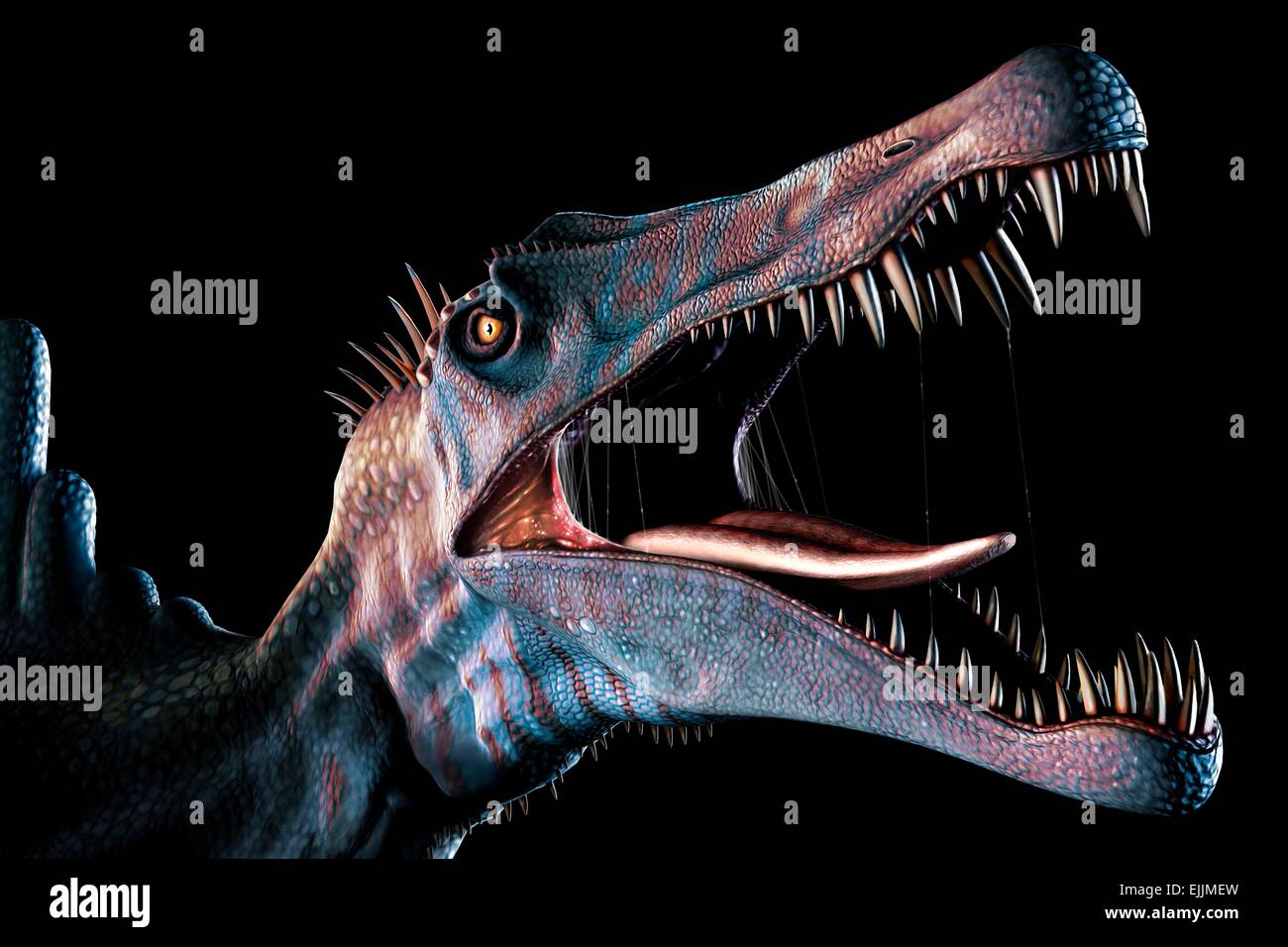Spinosaurus hi-res stock photography and images - Alamy