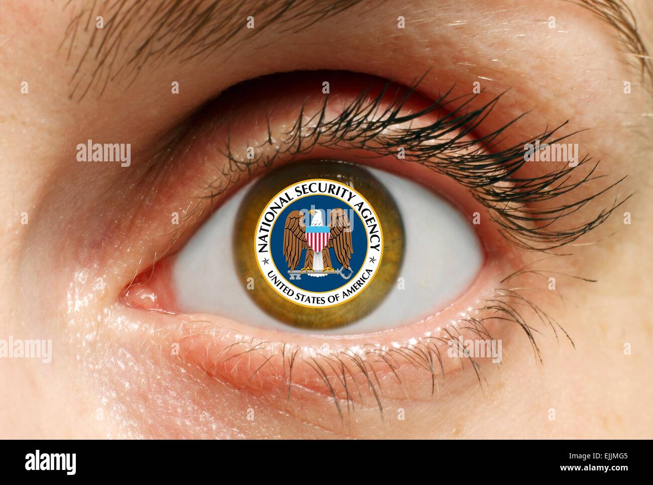 National security agency logo hi-res stock photography and images - Alamy