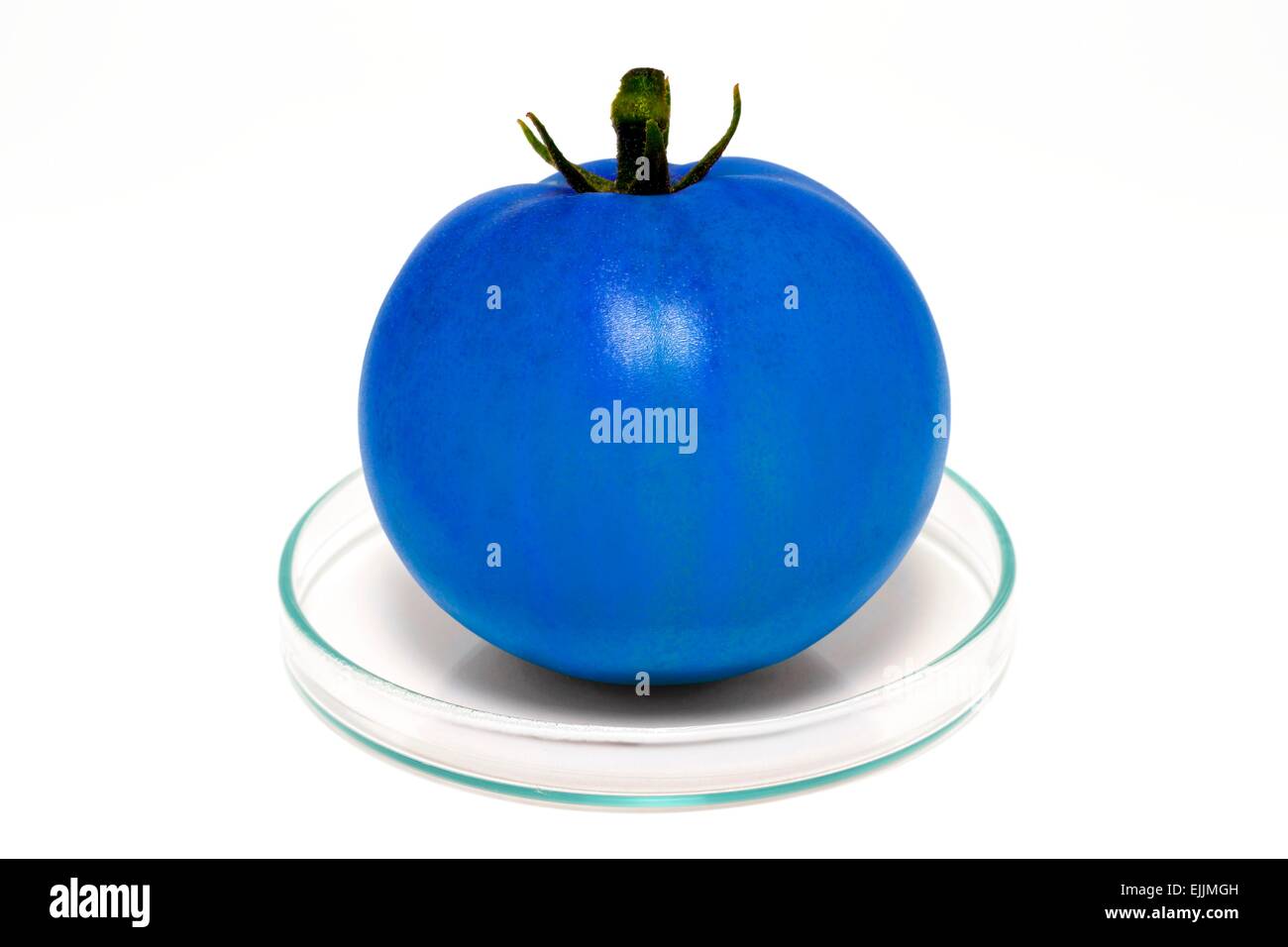 Blue tomato hi-res stock photography and images - Alamy