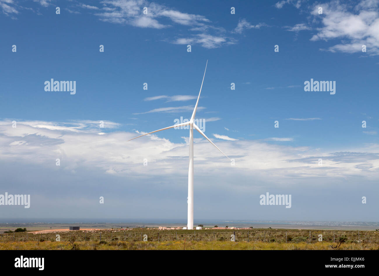 Wind turbine at Jeffreys Bay wind farm, Jeffreys Bay, Western Cape ...