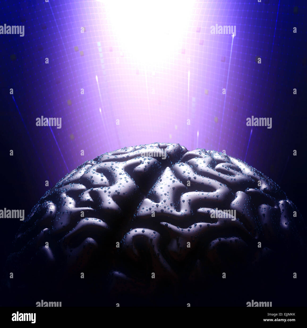 Human brain, computer illustration Stock Photo - Alamy