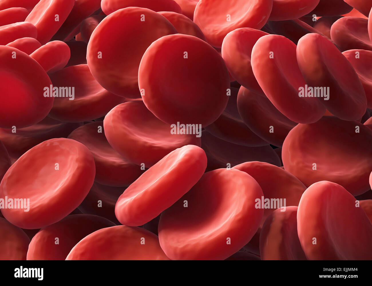 Red blood cells, computer illustration Stock Photo - Alamy