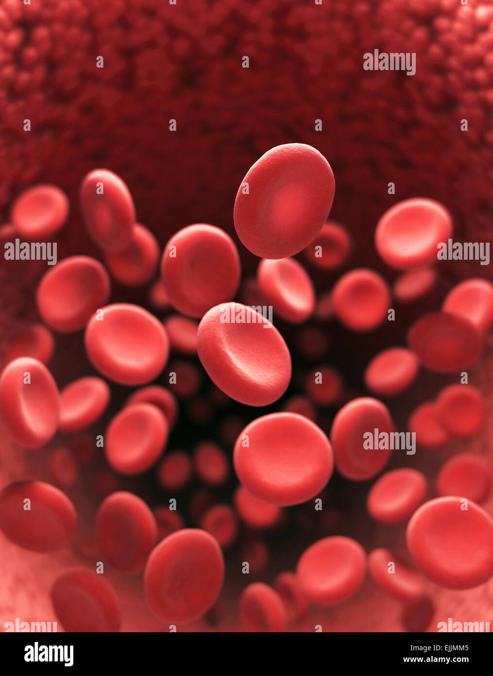 Red blood cells, computer illustration Stock Photo - Alamy