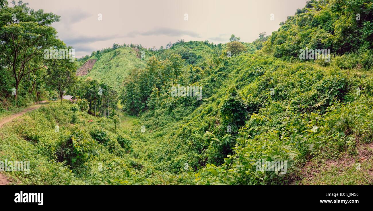 Scenic panorama of green valley in Bangladesh Stock Photo - Alamy
