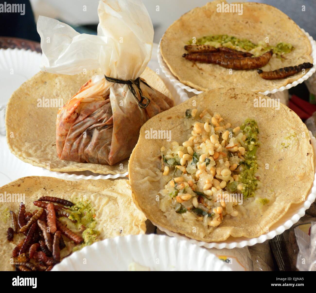 Fried insect tacos and rabbit mixiote from Mexican traditional cuisine ...