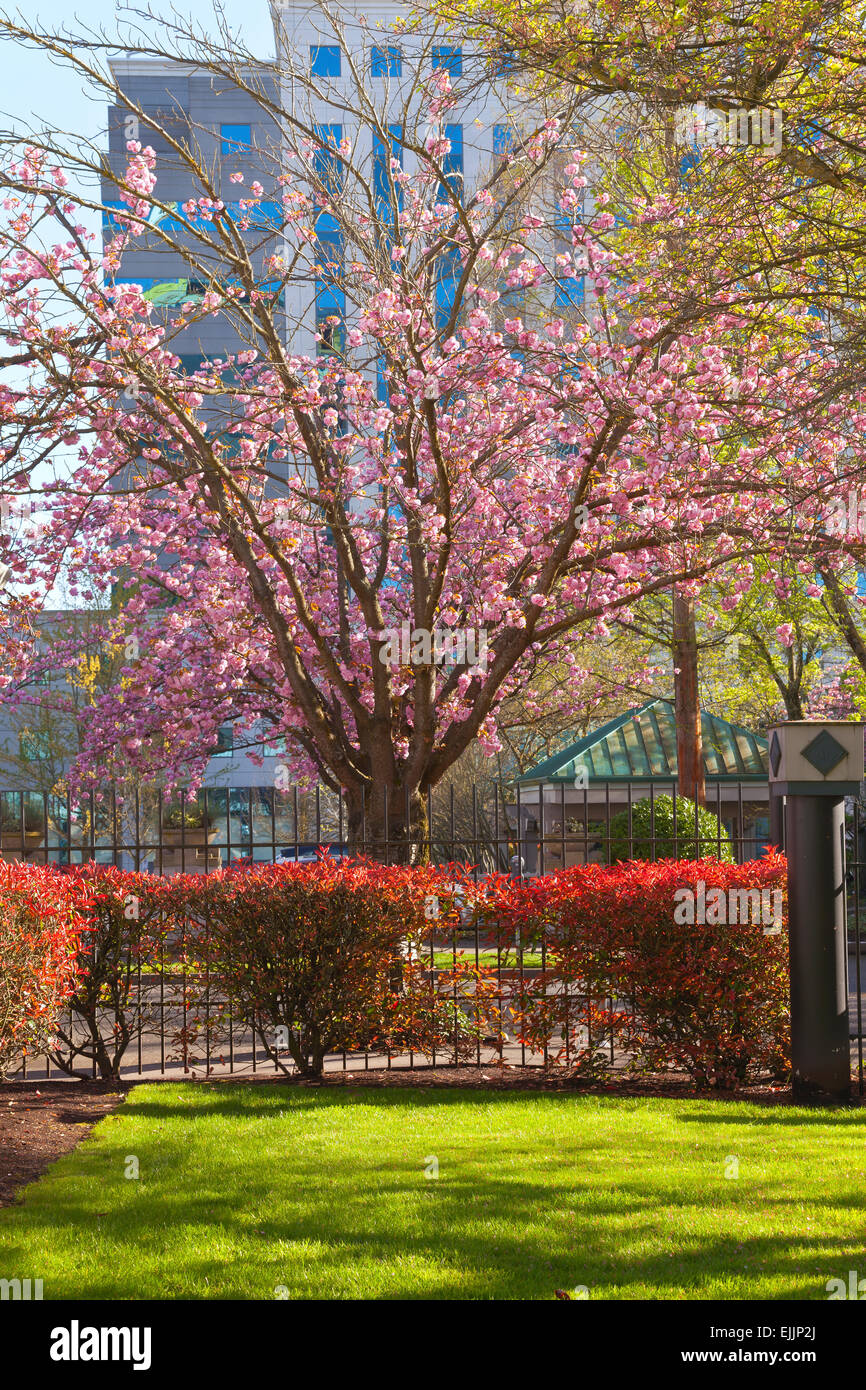 Blooms and buildings hi-res stock photography and images - Alamy