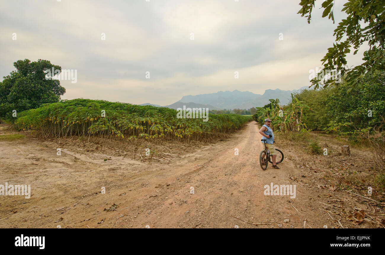 Bicycling in rural Thailand Stock Photo - Alamy