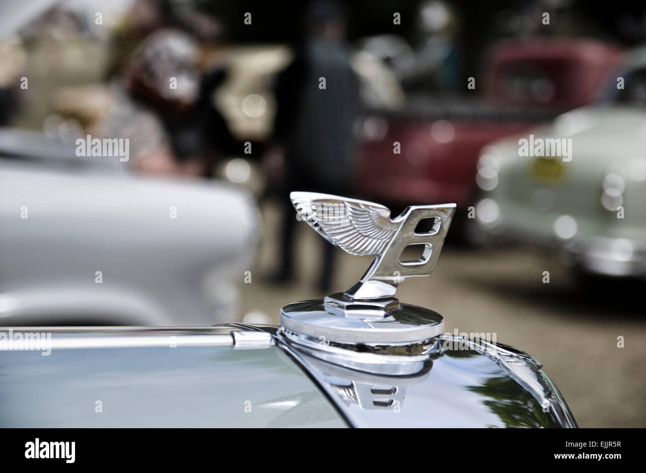 Winged bonnet hi-res stock photography and images - Alamy