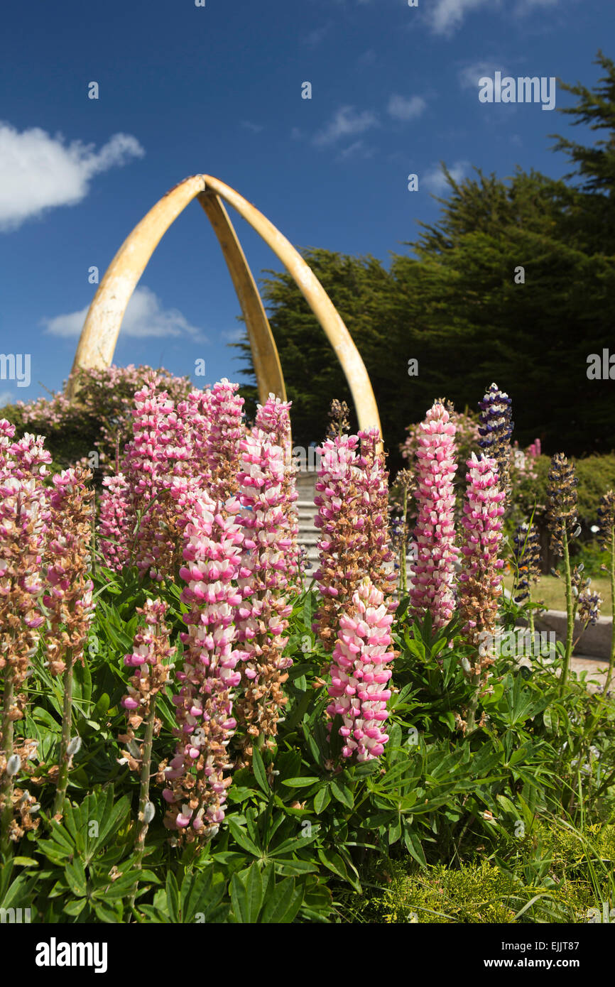 Port lupin hi-res stock photography and images - Alamy