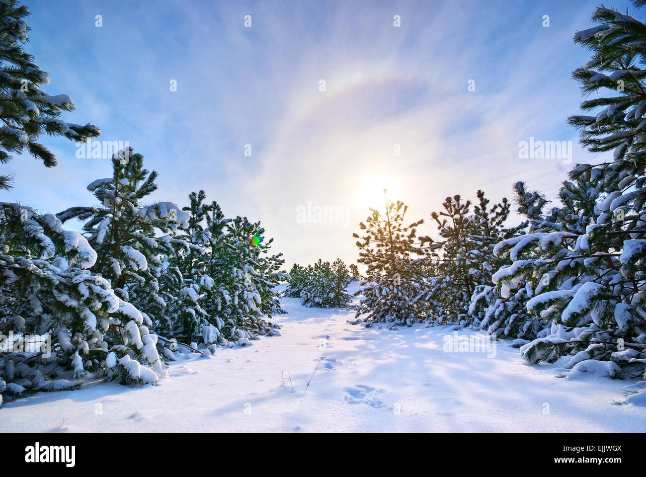 Winter landscape. Composition of nature Stock Photo - Alamy