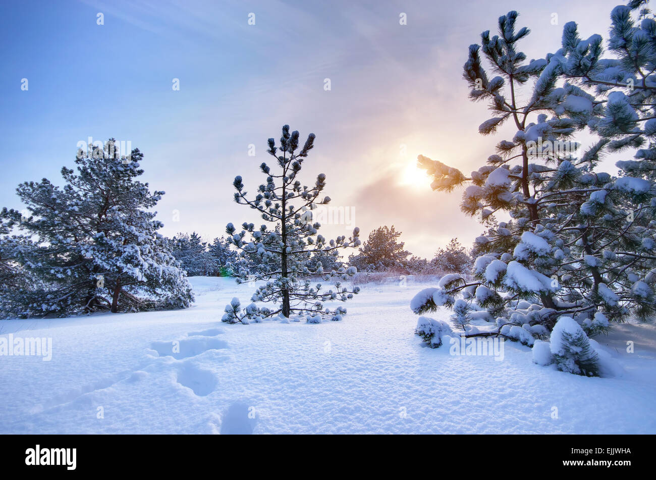 Winter landscape. Composition of nature Stock Photo - Alamy