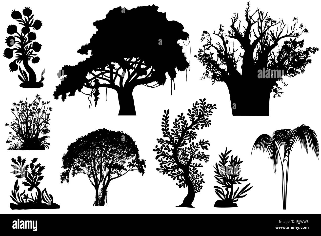Vector African trees and bushes Stock Vector Image & Art - Alamy