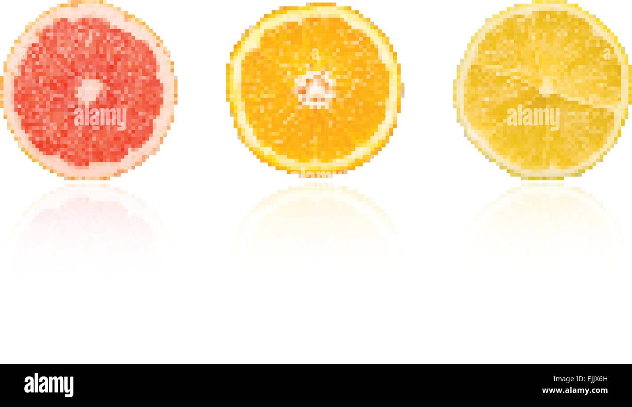 Citrus Fruits Slices Pixel Vector With Reflection Stock Vector Image ...
