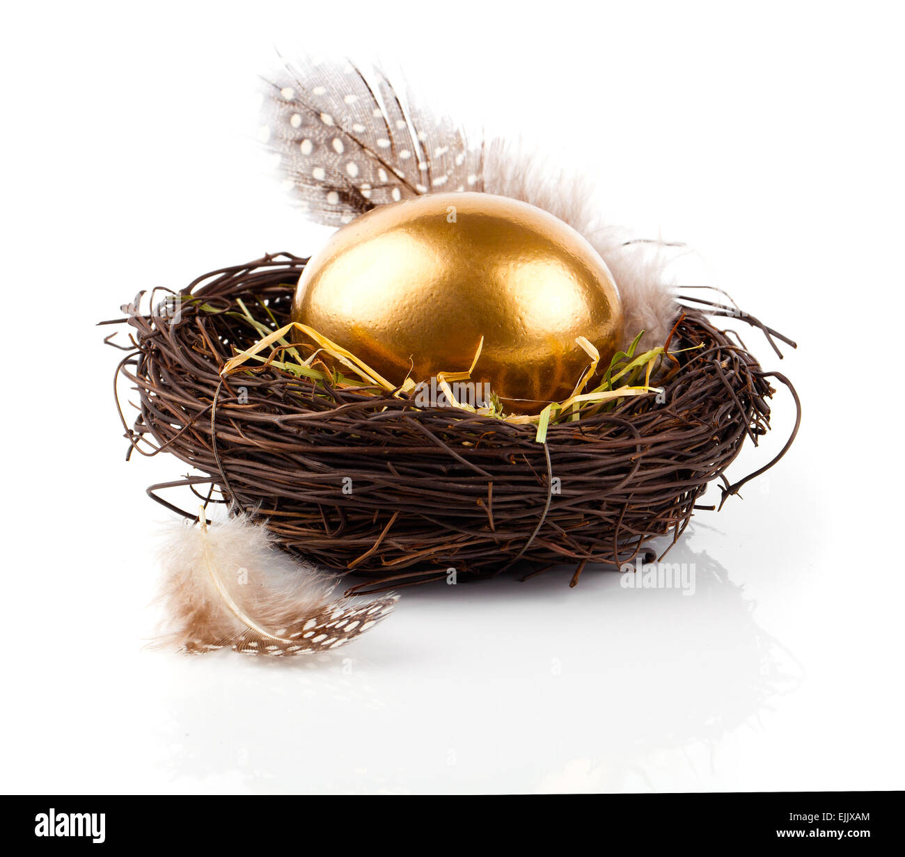 Golden egg in nest on white background Stock Photo - Alamy