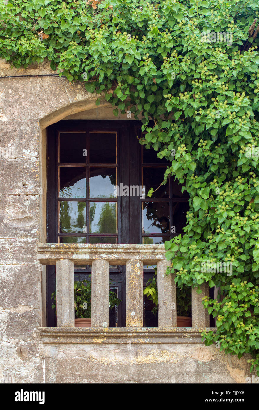 Close-up view of antique balcony with foliage Stock Photo - Alamy