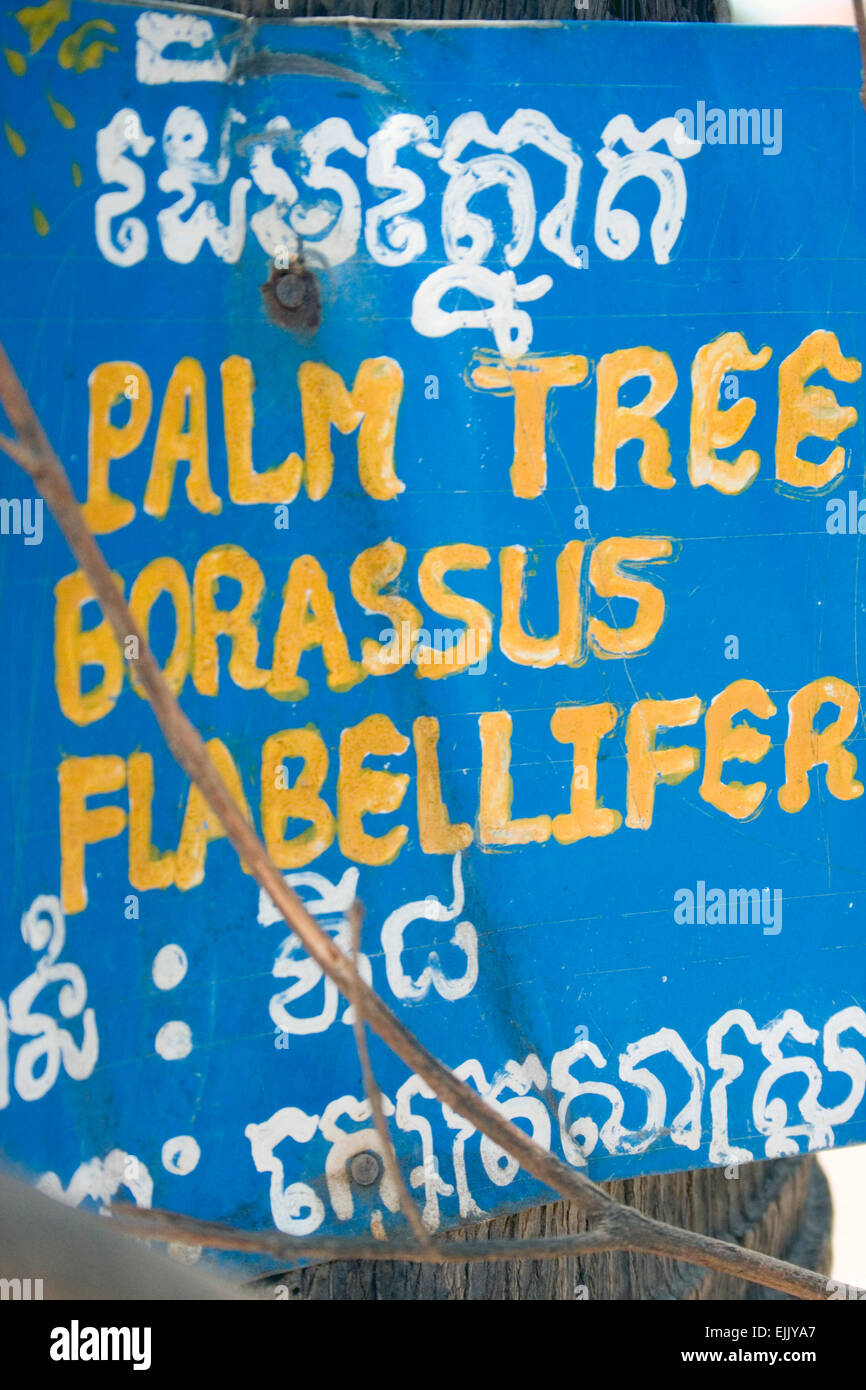 Palm tree sign hi-res stock photography and images - Alamy