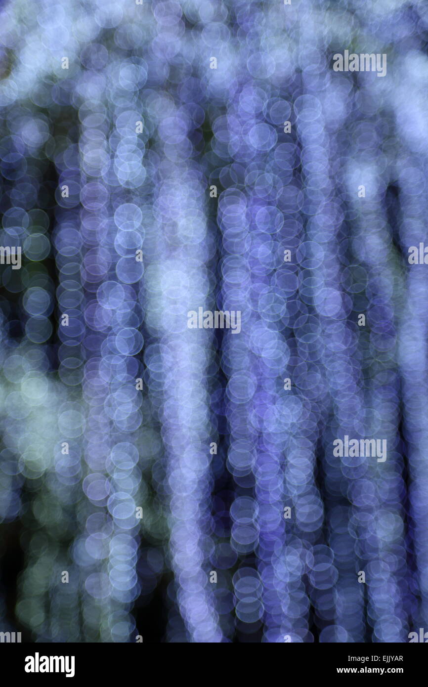 bokeh light blur of the LED lamp in the night Stock Photo - Alamy