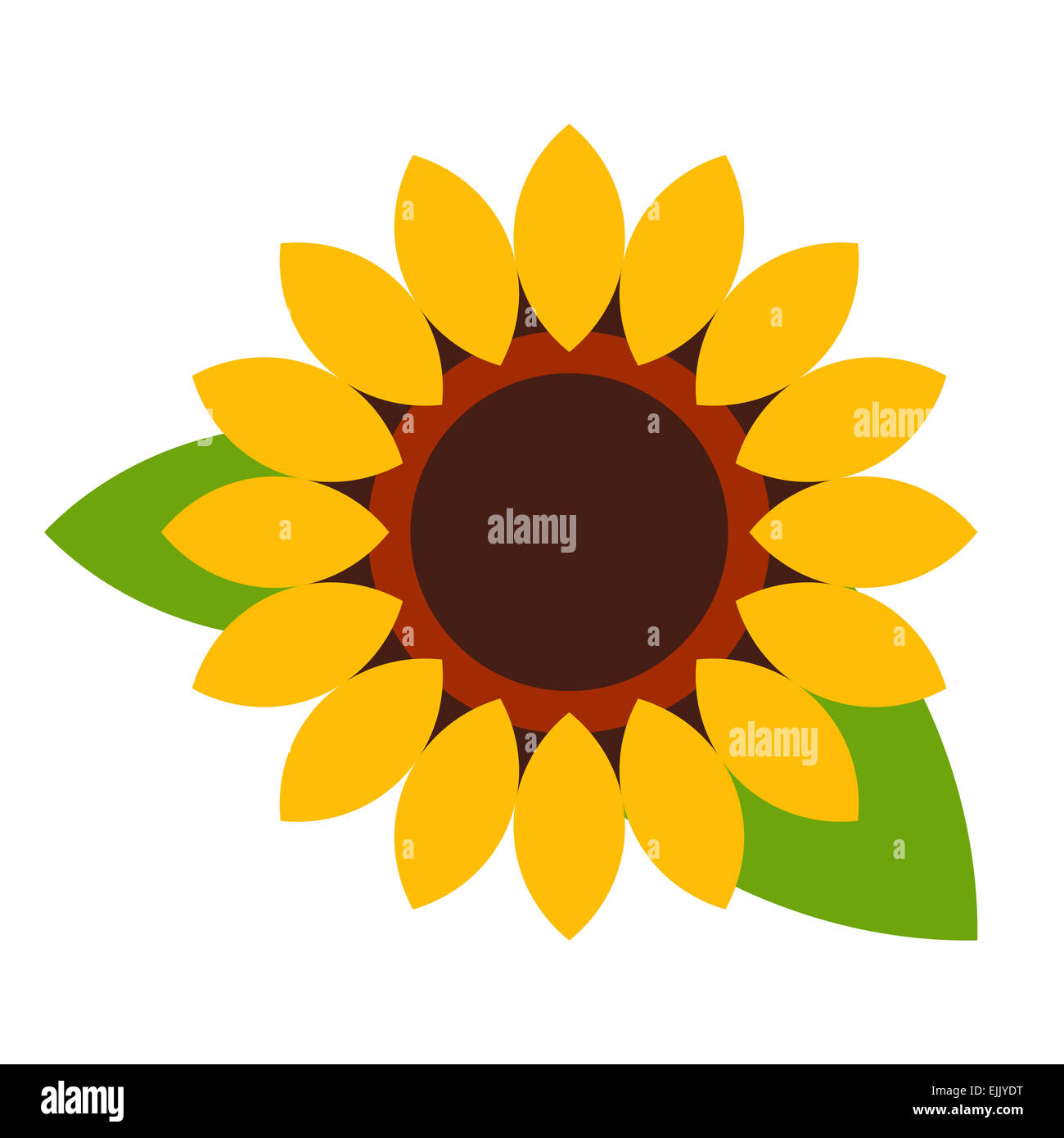 Sunflower - flower icon isolated on white background Stock Photo - Alamy