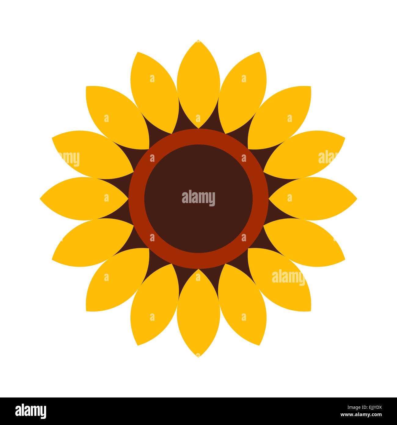 Sunflower - flower icon isolated on white background Stock Photo - Alamy