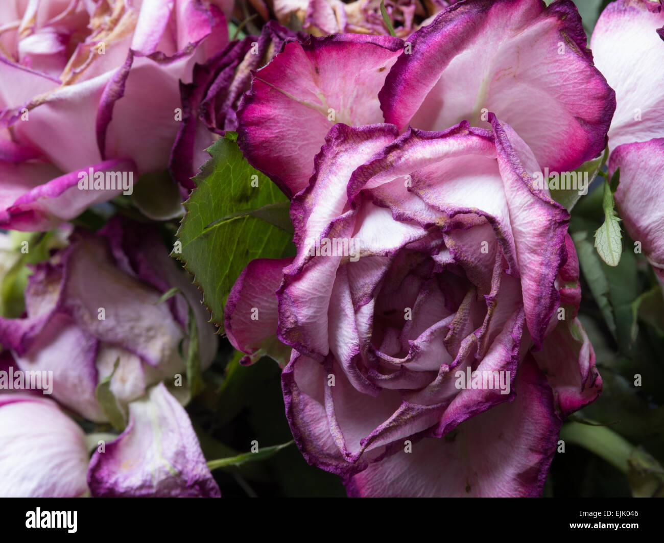 Faded symbols hi-res stock photography and images - Alamy