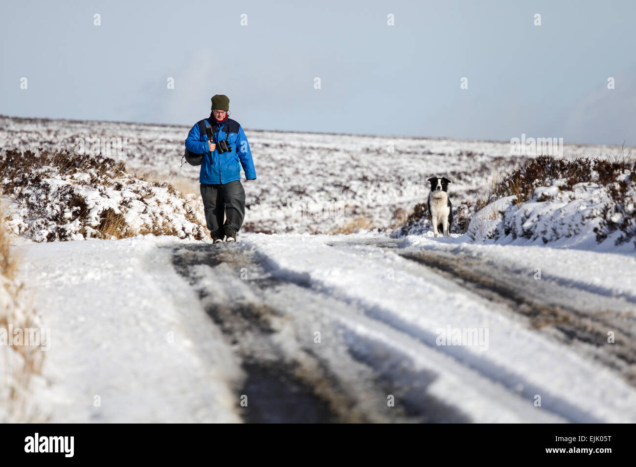 Walkers exmoor country park hi-res stock photography and images - Alamy
