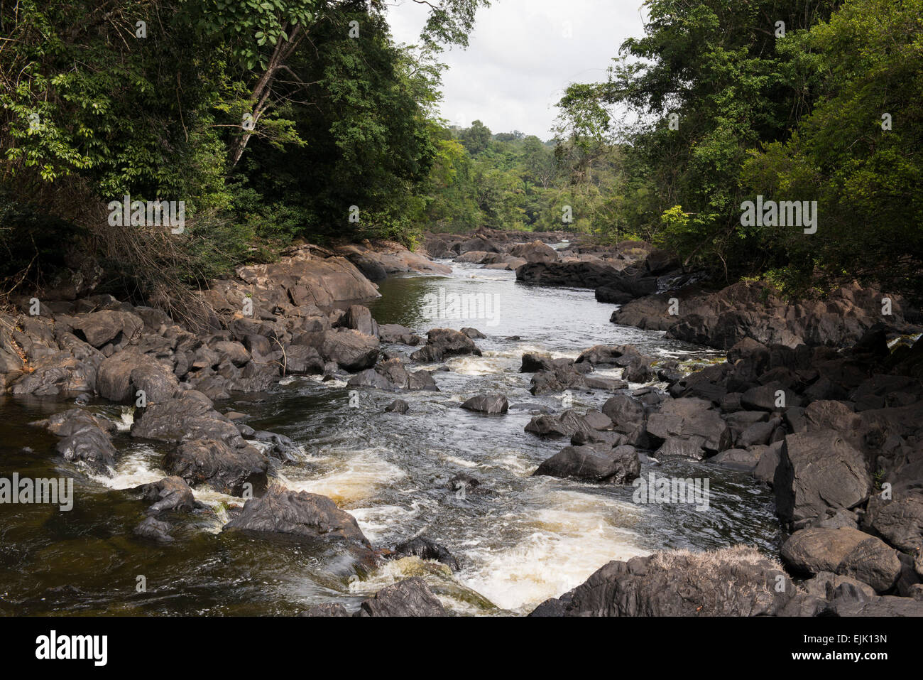 Nickerie Suriname River My Beloved Nickerie